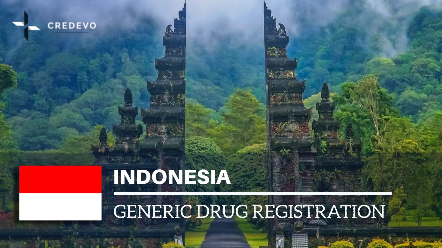 Indonesia Generic Drug Registration | Credevo Articles