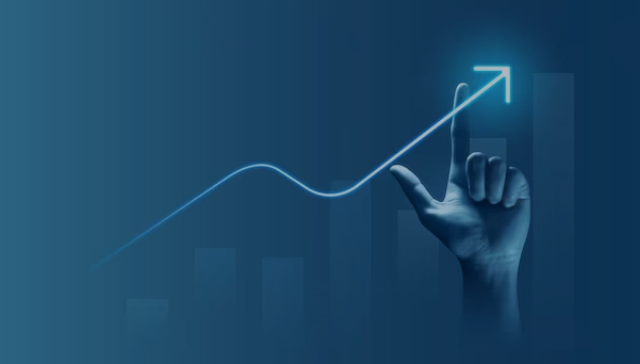 Business Development Support - Credevo